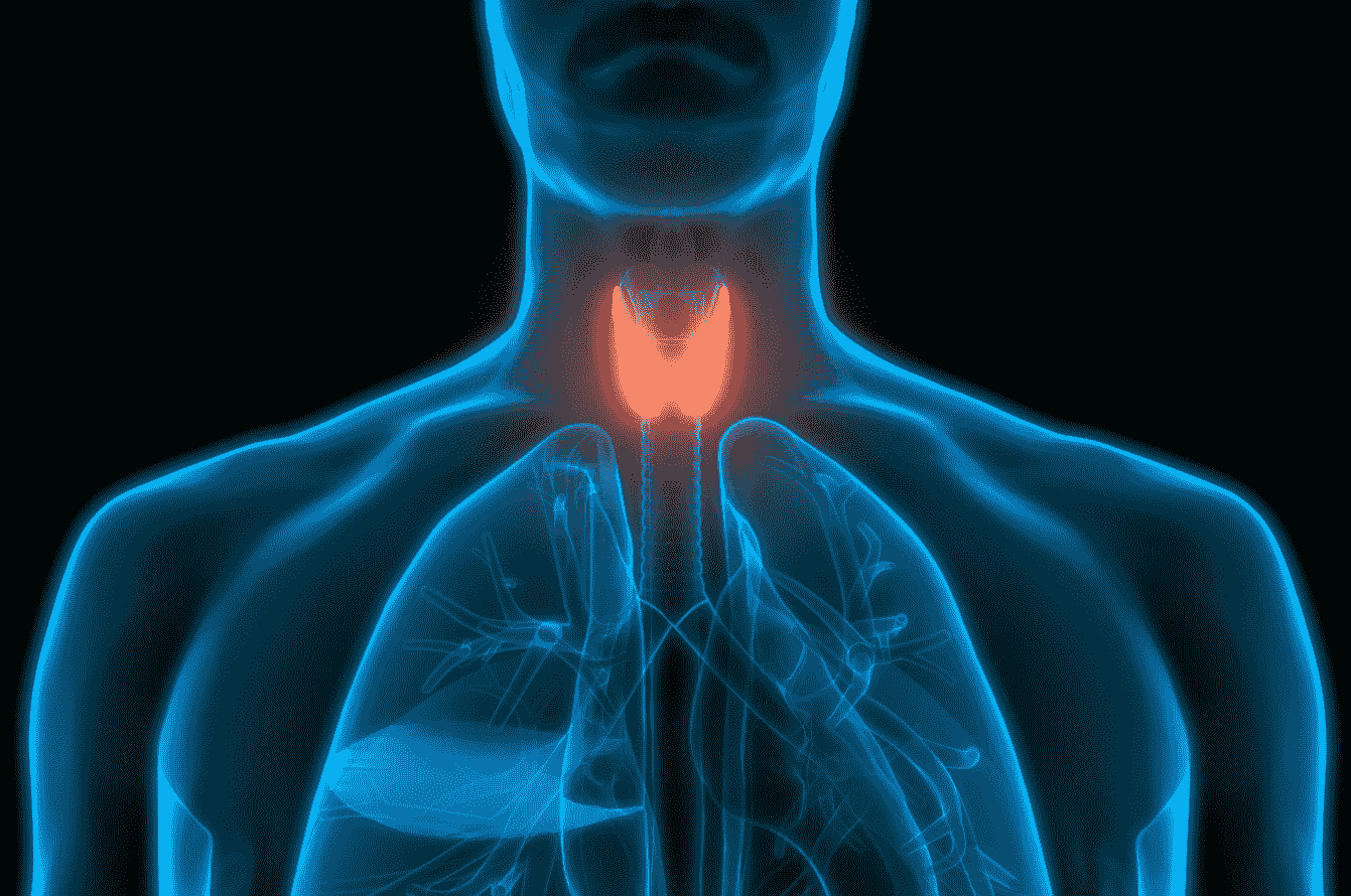 TSH alto: o que significa para o diagnóstico do hipotireoidismo?